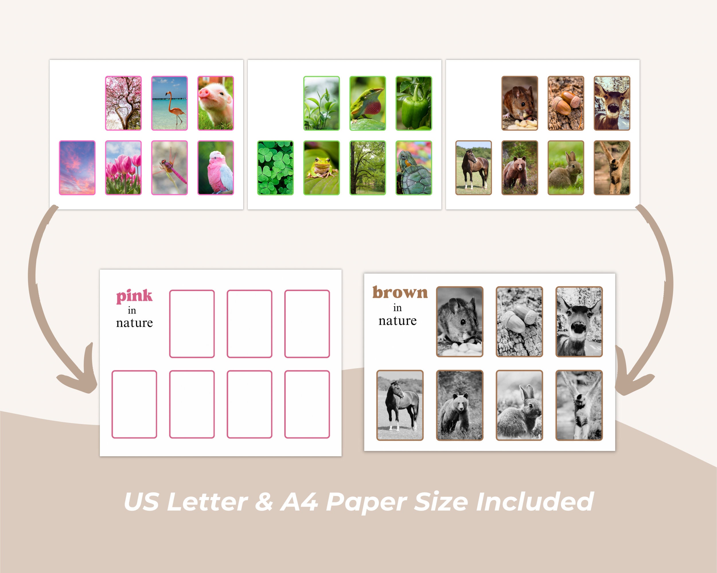 Colors in Nature Learning Activity for Toddlers, Printable Color Sort ...