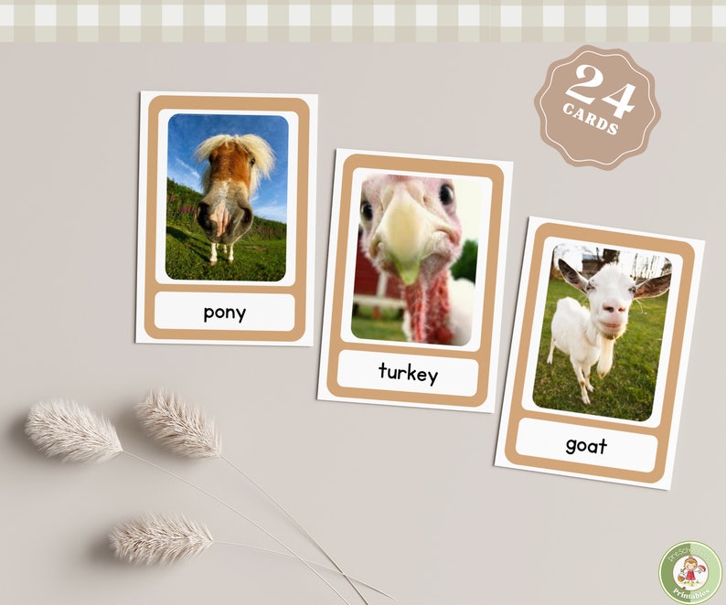 Funny Farm Animal Flashcards, Montessori Inspired Vocabulary Flash ...