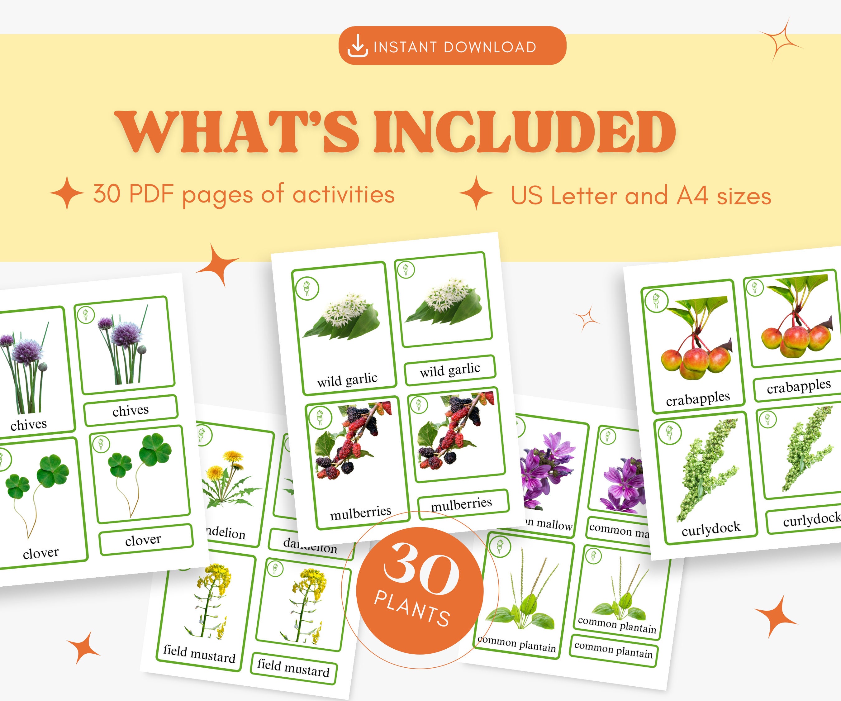 Printable Montessori 3 Part Cards Edible Plants, Nomenclature for ...