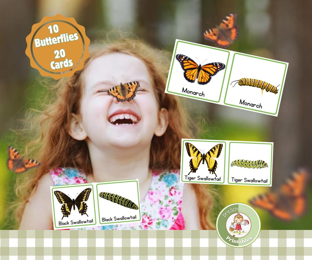 Butterfly & Caterpillar Matching Cards: Montessori Homeschool Activity ...