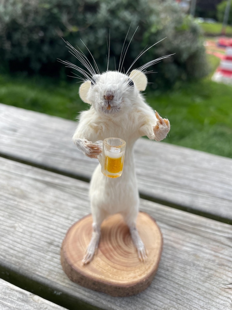 Brewski Bully – Taxidermy Rat Flipping the Bird Holding a Beer - Etsy