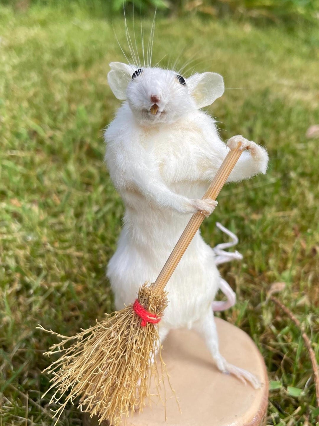 Dusty Whiskerwick, Taxidermy Mouse With Sweeping Brush - Etsy