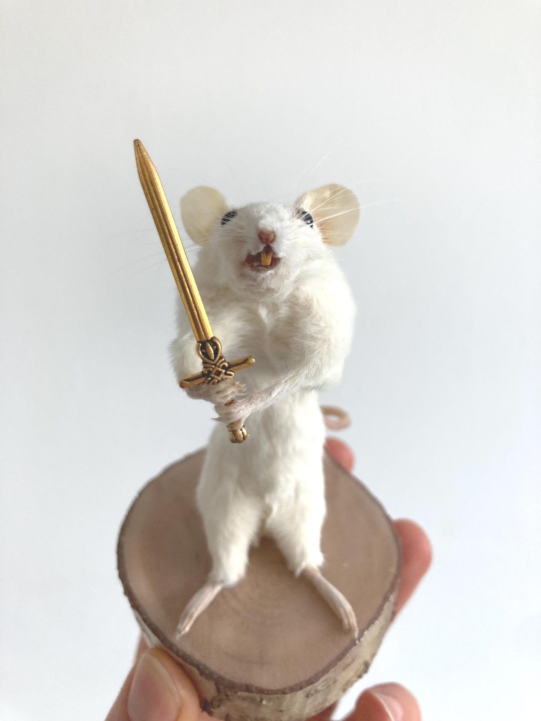 Sir Squeaksalot, Taxidermy Mouse With Sword - Etsy