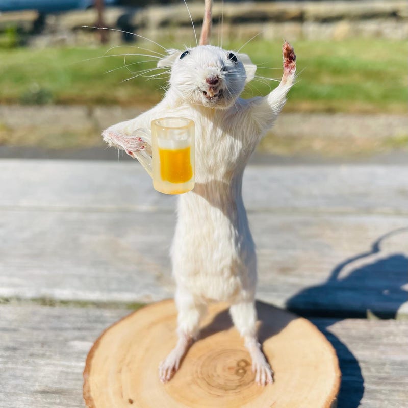 Cool Stuff - Etsy UK