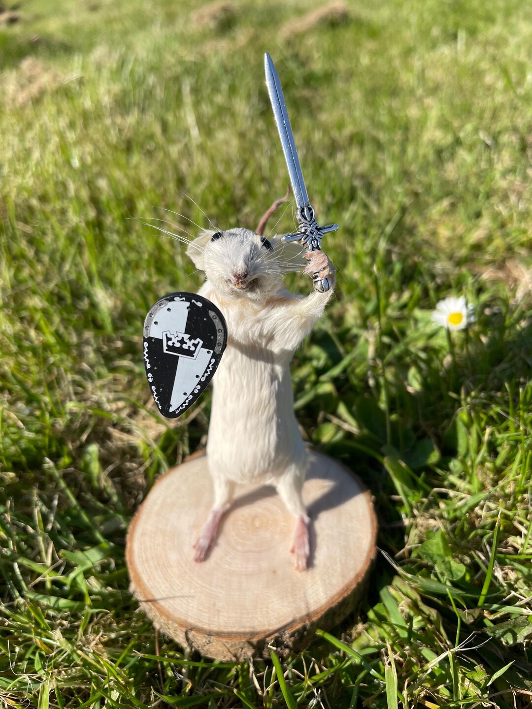 Sir Squeaksalot, Taxidermy Mouse With Sword & Shield - Etsy