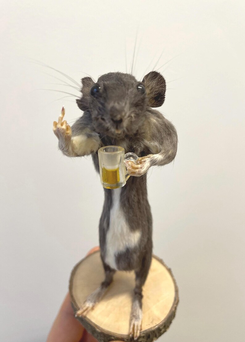 Brewski Bully – Taxidermy Rat Flipping the Bird Holding a Beer - Etsy