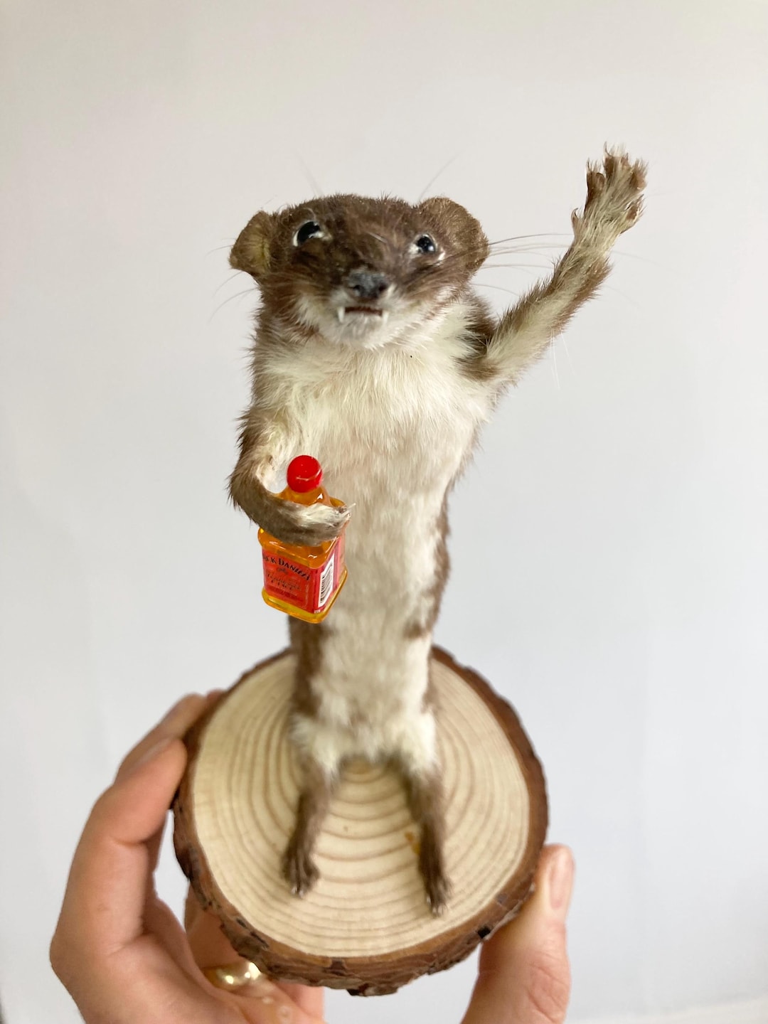 Waving Weasel With Miniature Jack Daniels Bottle - Etsy