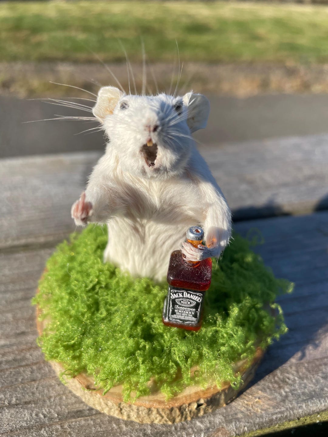 Tipsy Tails - Taxidermy Mouse - Etsy