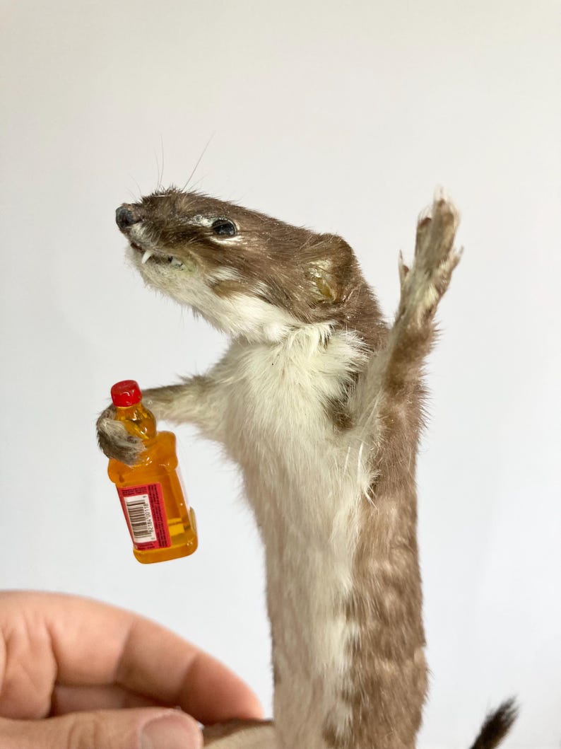 Waving Weasel With Miniature Jack Daniels Bottle - Etsy