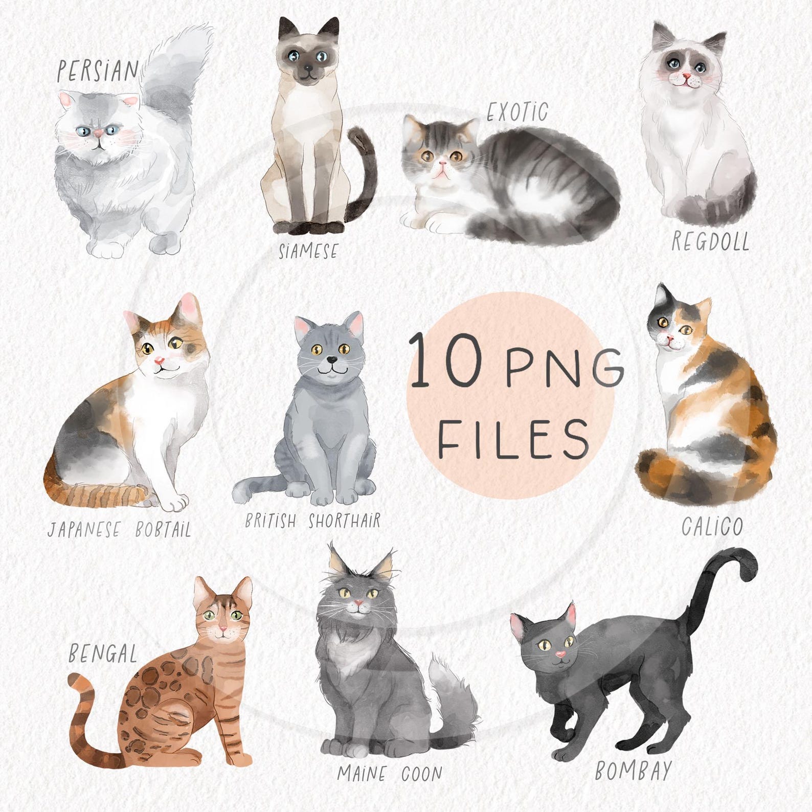 Cute Cat Breed Clipart , Seamless Pattern Design, Hand Drawn Clipart ...