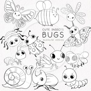 Cute Bugs, Insects Clipart, Hand Drawn Clipart, PNG Files. - Etsy