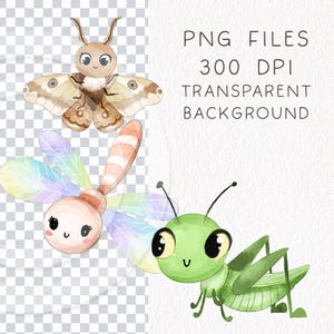 Cute Bugs, Insects Clipart, Hand Drawn Clipart, PNG Files. - Etsy
