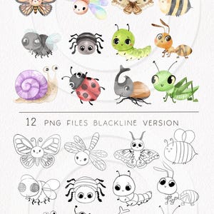 Cute Bugs, Insects Clipart, Hand Drawn Clipart, PNG Files. - Etsy
