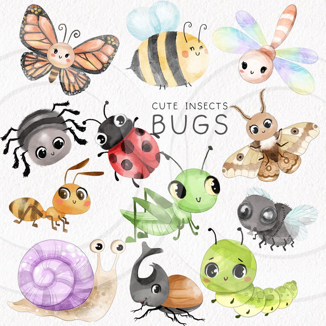 Cute Bugs, Insects Clipart, Hand Drawn Clipart, PNG Files. - Etsy