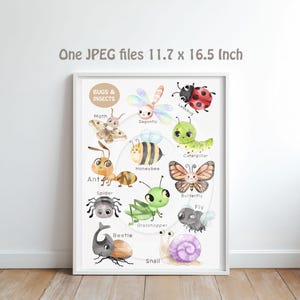 Cute Bugs, Insects Clipart, Hand Drawn Clipart, PNG Files. - Etsy