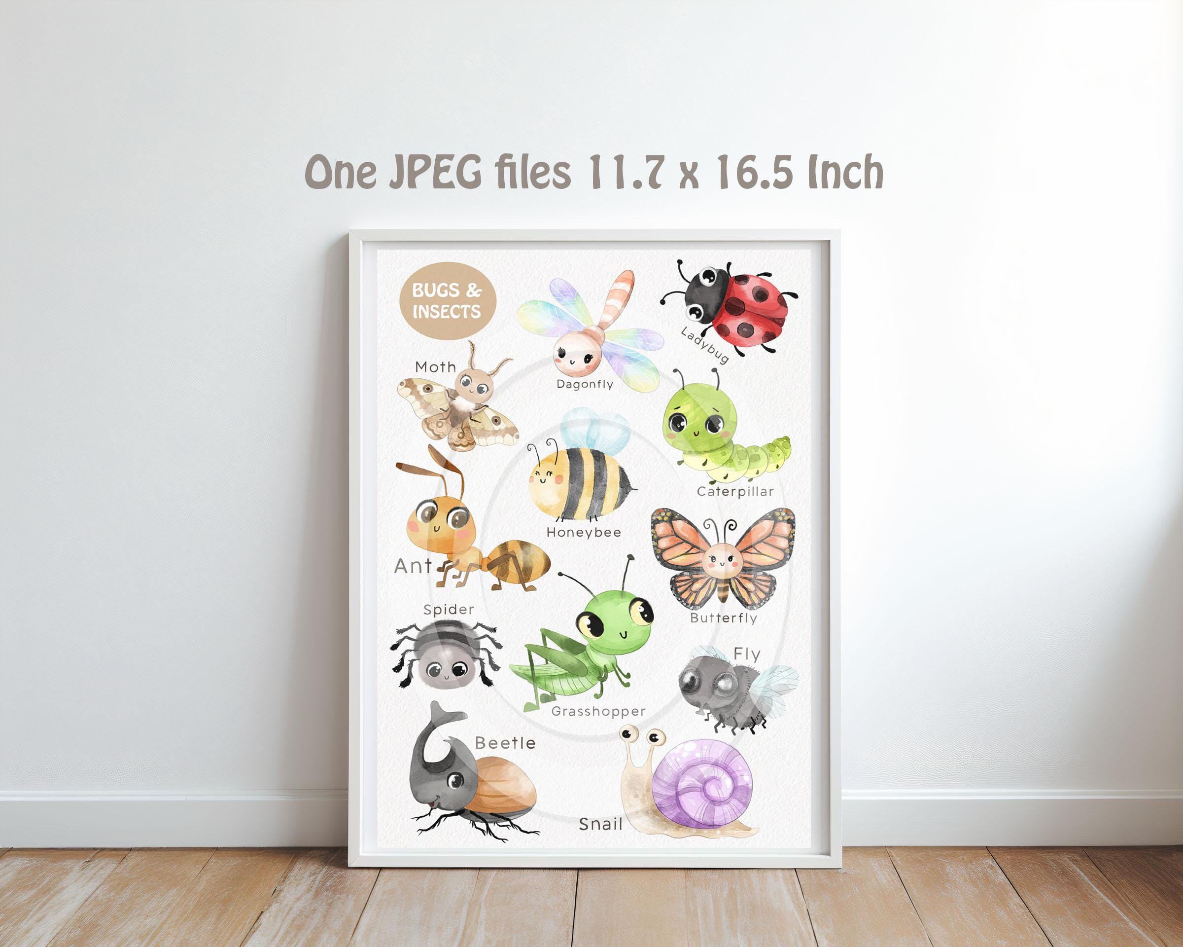 Cute Bugs, Insects Clipart, Hand Drawn Clipart, PNG Files. - Etsy