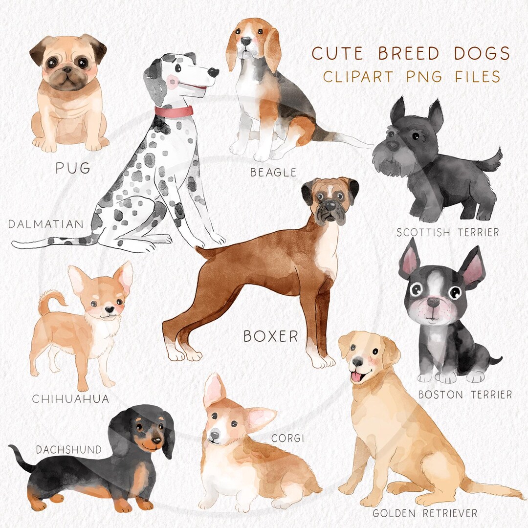 Cute Dogs Breed Clipart , Seamless Pattern Design, Hand Drawn Clipart ...