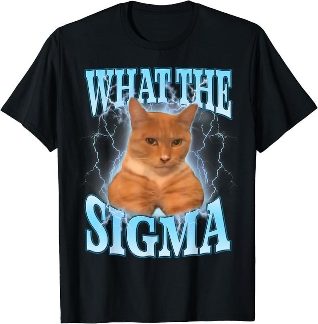 What the Sigma Cat T-shirt, Funny Hoodie, Parody Sweatshirt, Funny Gift ...
