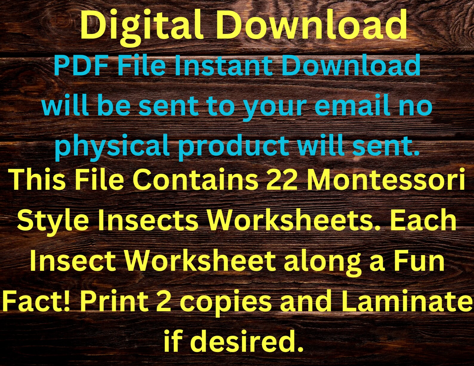 Insects Printables |crawley Bugs Printables | Bugs Worksheets|insects ...