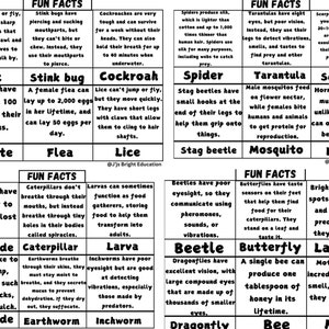 Insects Printables |crawley Bugs Printables | Bugs Worksheets|insects ...