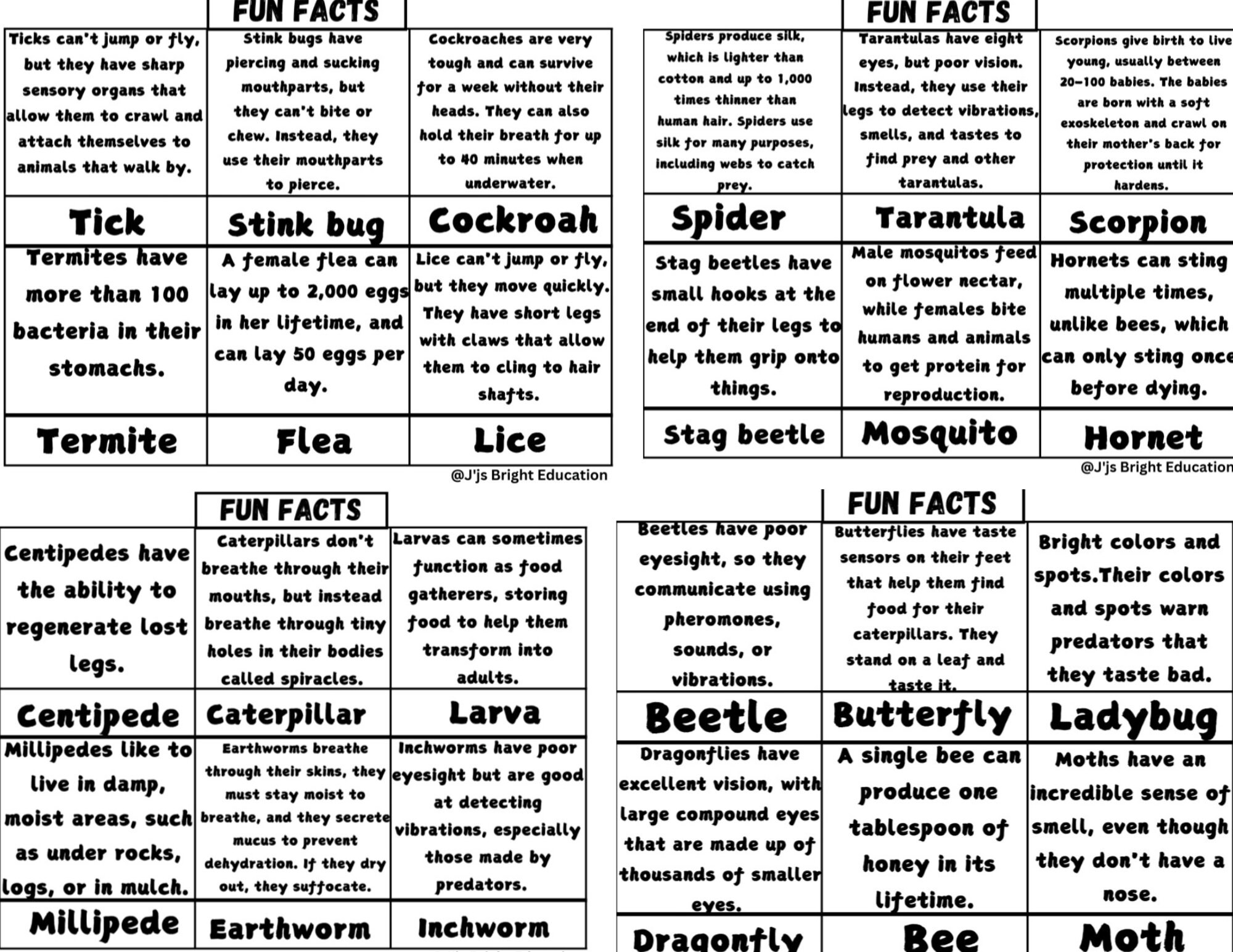 Insects Printables |crawley Bugs Printables | Bugs Worksheets|insects ...