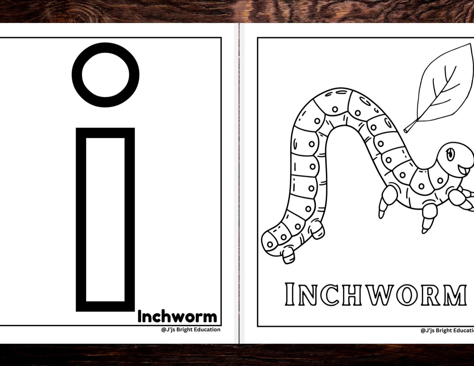 Jumbo Animals Alphabet|jumbo Alphabet Coloring Pages|big Alphabet ...