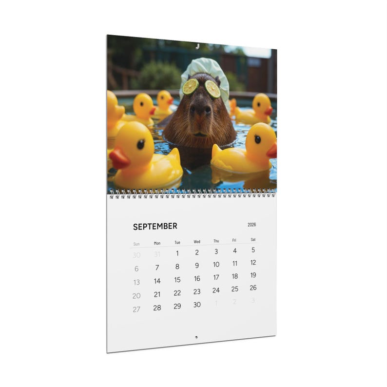 2026 Capybara Wall Calendar, Quirky Novelty Gift, Funny Secret Santa ...