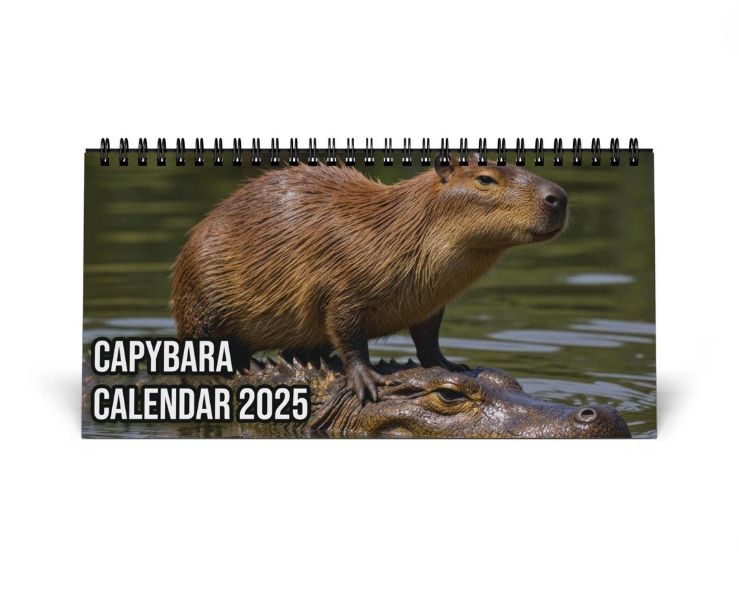 Cute Capybara Desktop Calendar 2025, Quirky Novelty Gift, Funny White ...