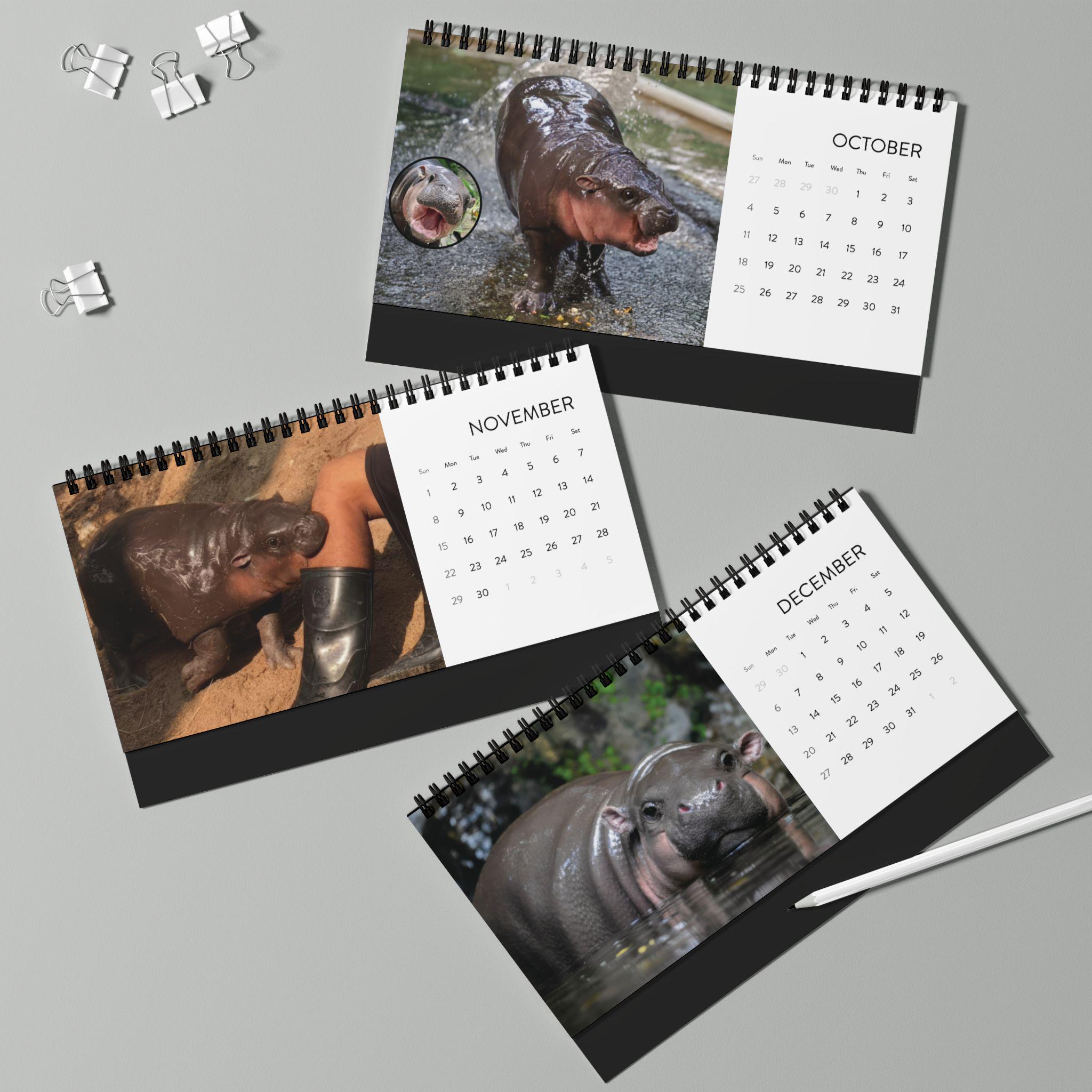Cute Moo Deng 2026 Desktop Calendar Planner, Baby Pygmy Hippo Office ...