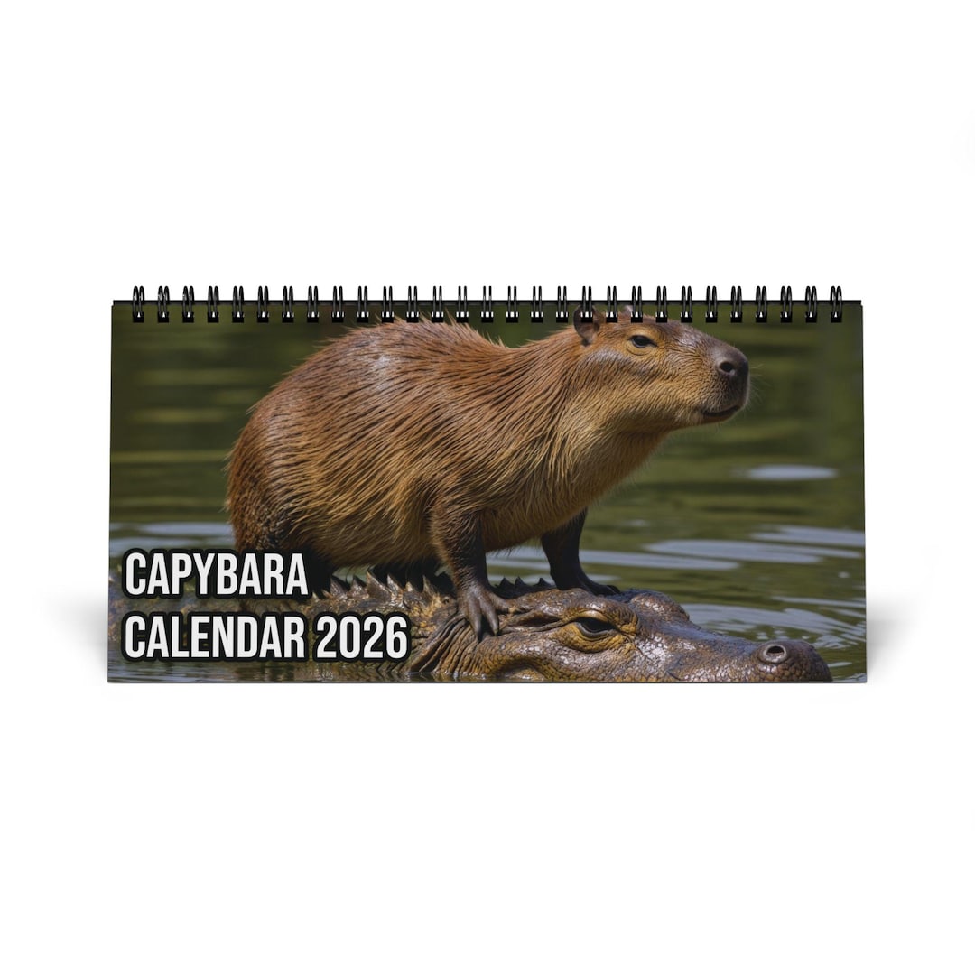 Cute Capybara Desktop Calendar 2026, Quirky Novelty Gift, Funny White ...