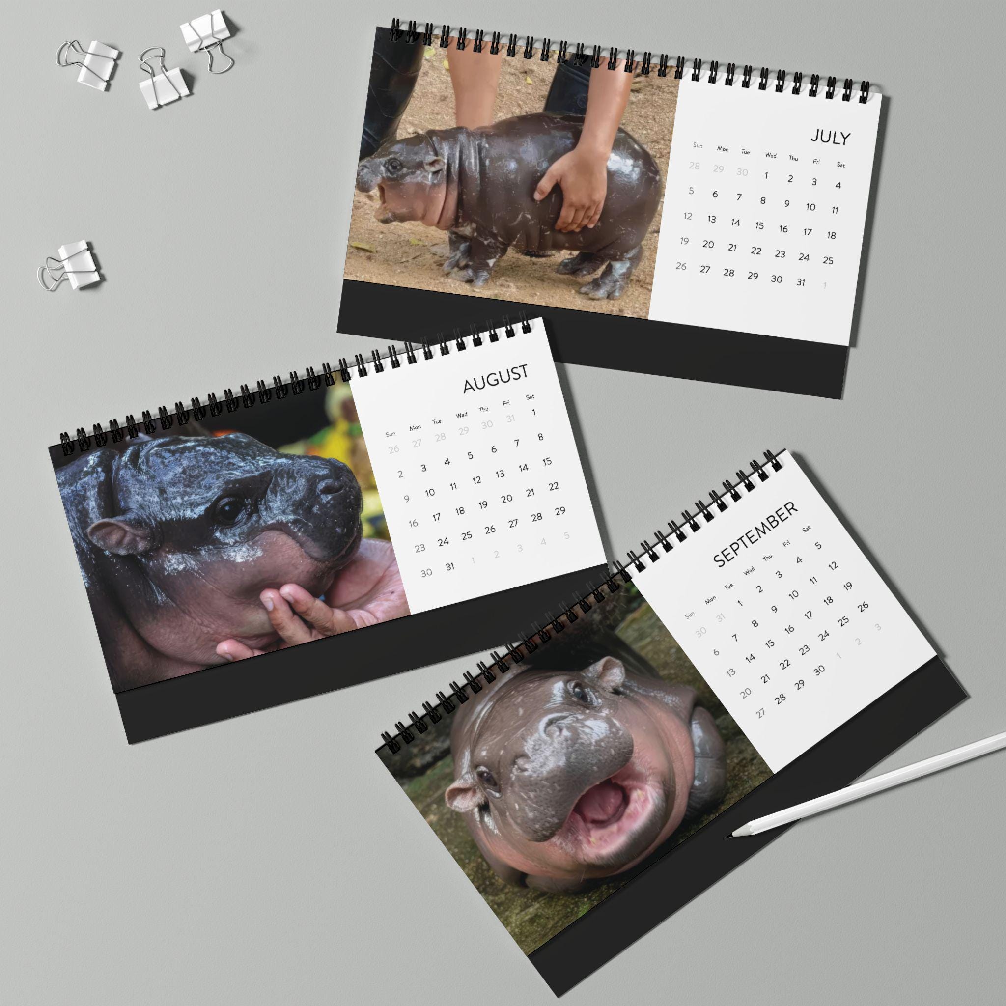 Cute Moo Deng 2026 Desktop Calendar Planner, Baby Pygmy Hippo Office ...
