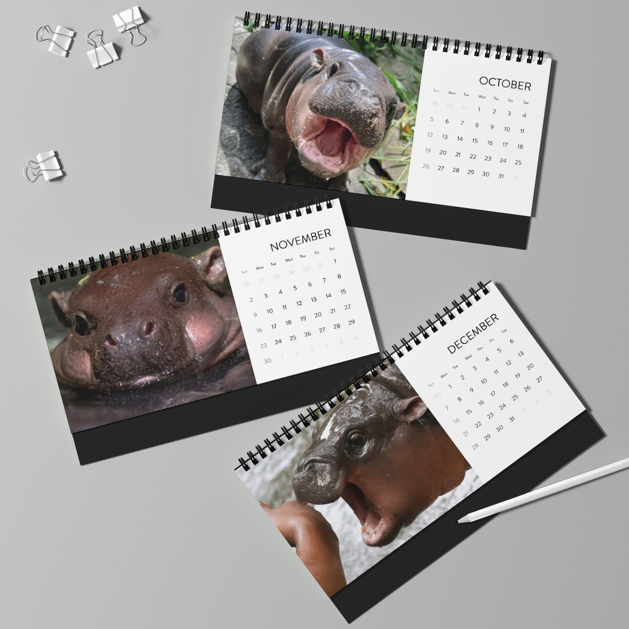 Funny Moo Deng 2026 Desktop Calendar, Fun Baby Pygmy Hippo Desk Planner ...