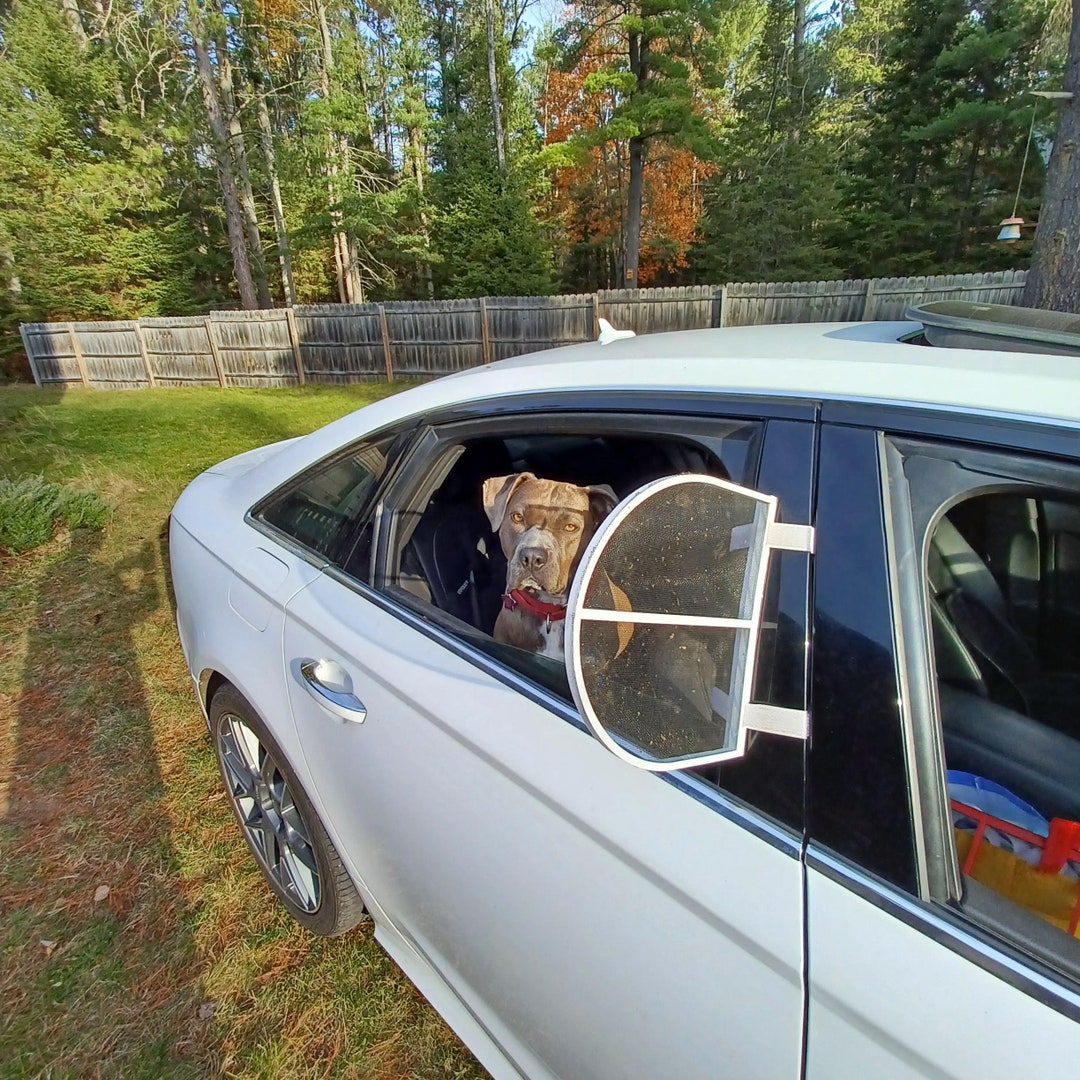 Pet Windscreen for Your Vehicle - Groundbreaking Design to Safeguard ...