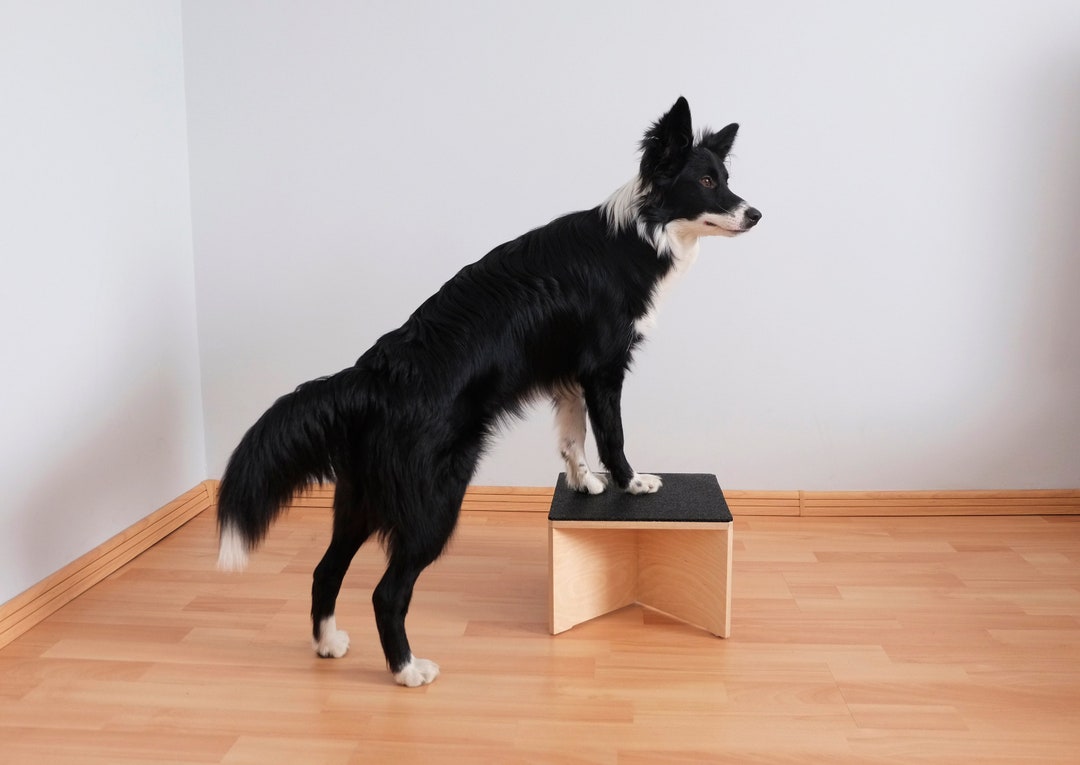 Jumping Box for Dog (S) / Dog Training / Dog Fitness - Etsy