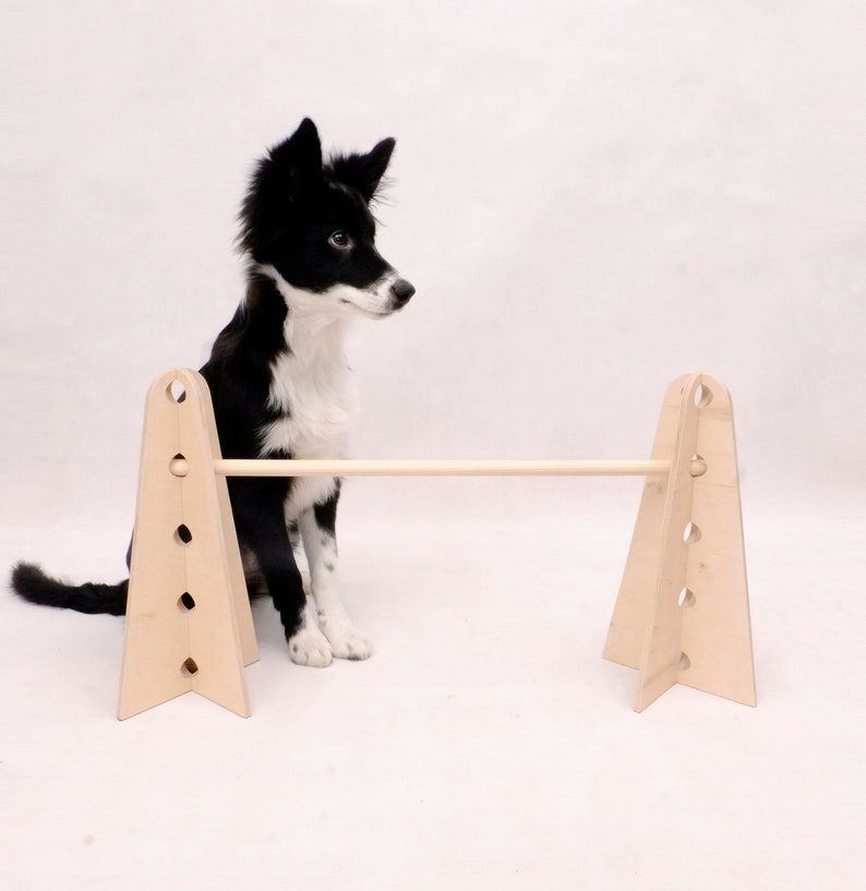 Set of 2 Cones and Sticks for Dog Training / Dog Accessories / Dog ...