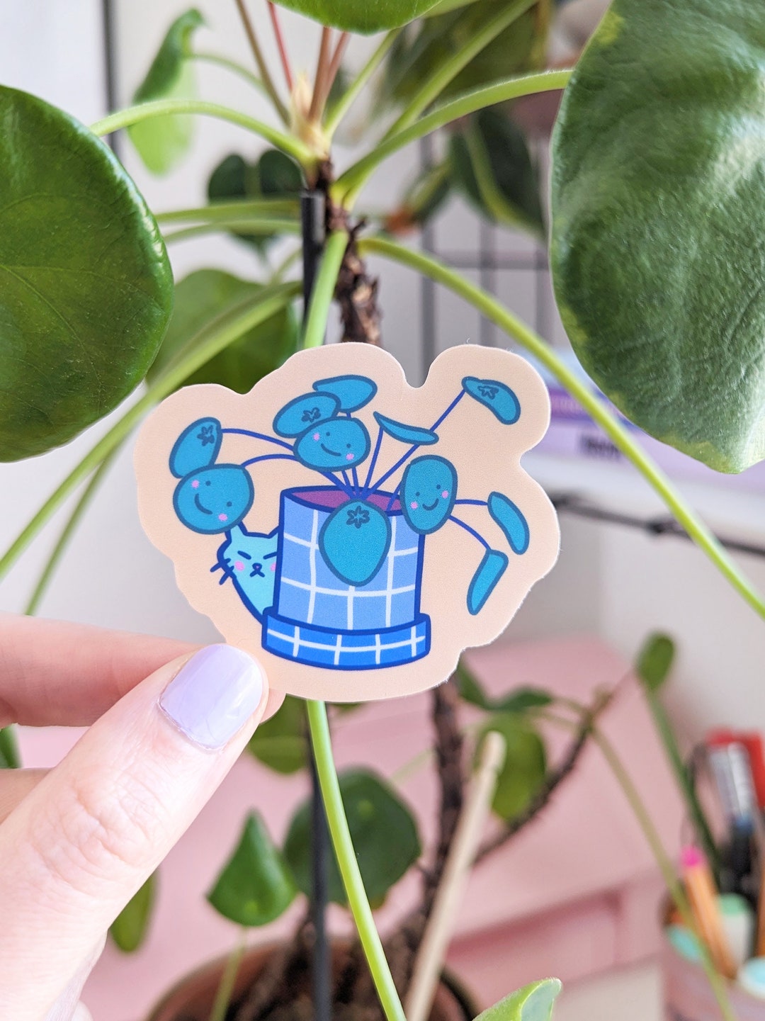 Friendship Plant Sticker - Plant Sticker, Chinese Money Plant, Matte ...