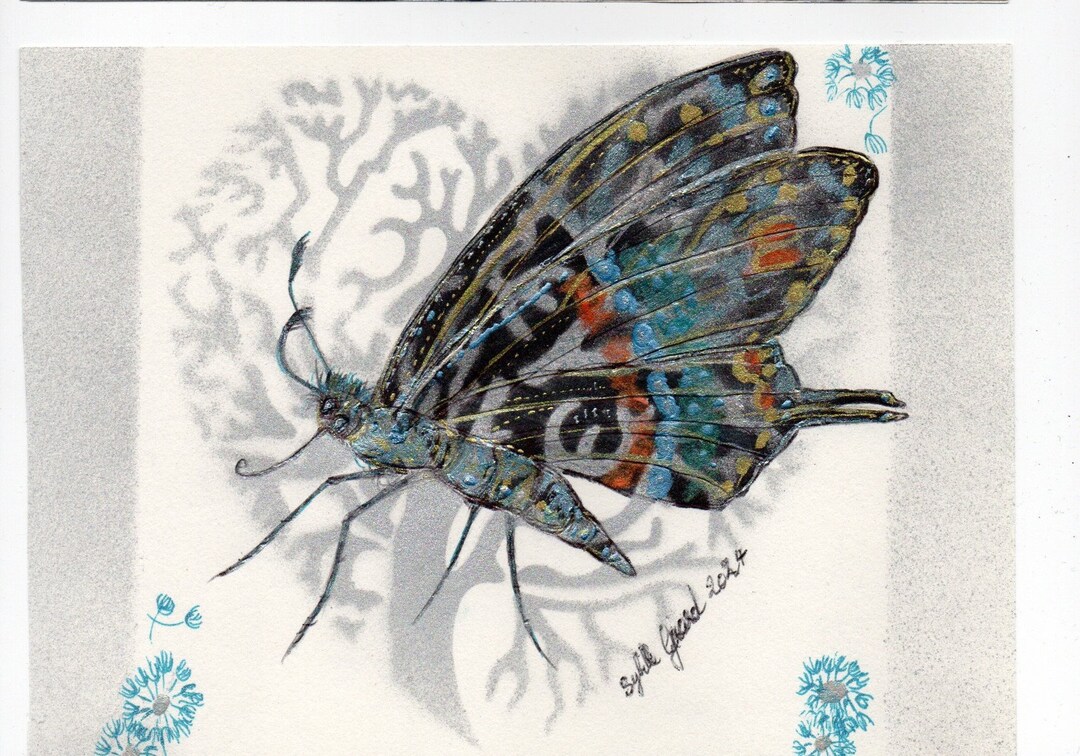 Art Illustration to Download and Print Papillon D'or 15, Drawing Made ...