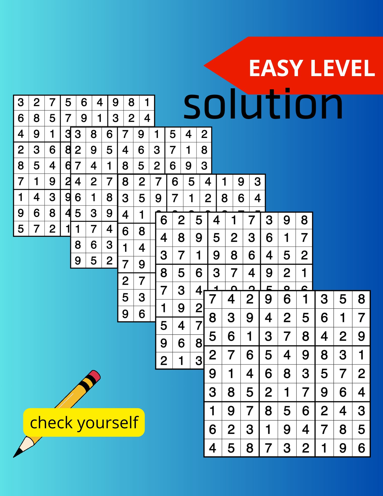 100 Easy Sudoku Puzzles – Large Print for Seniors, Adults & Kids ...