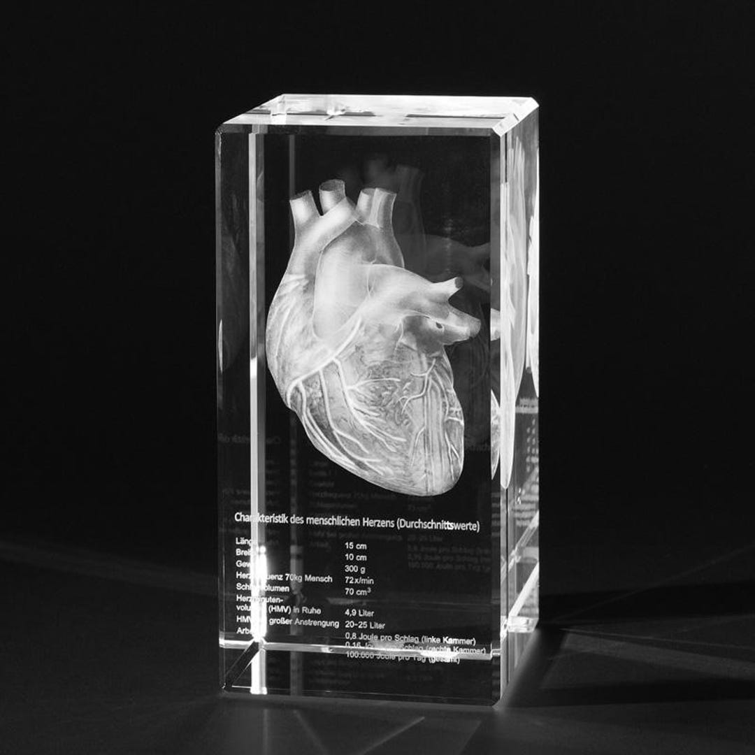 3D Anatomy in Crystal - Original 3D Crystal - Medical Model - Internal ...