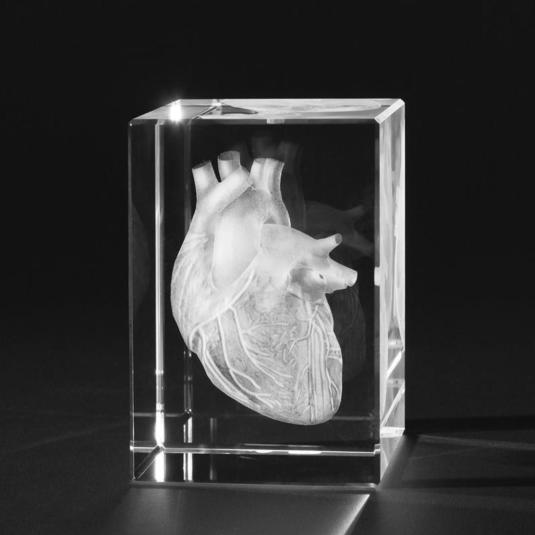 3D Anatomy in Crystal - Original 3D Crystal - Medical Model - Internal ...