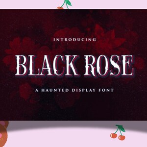Black Rose Font, Modern Font, Handwritten Font, Personal Display Font ...