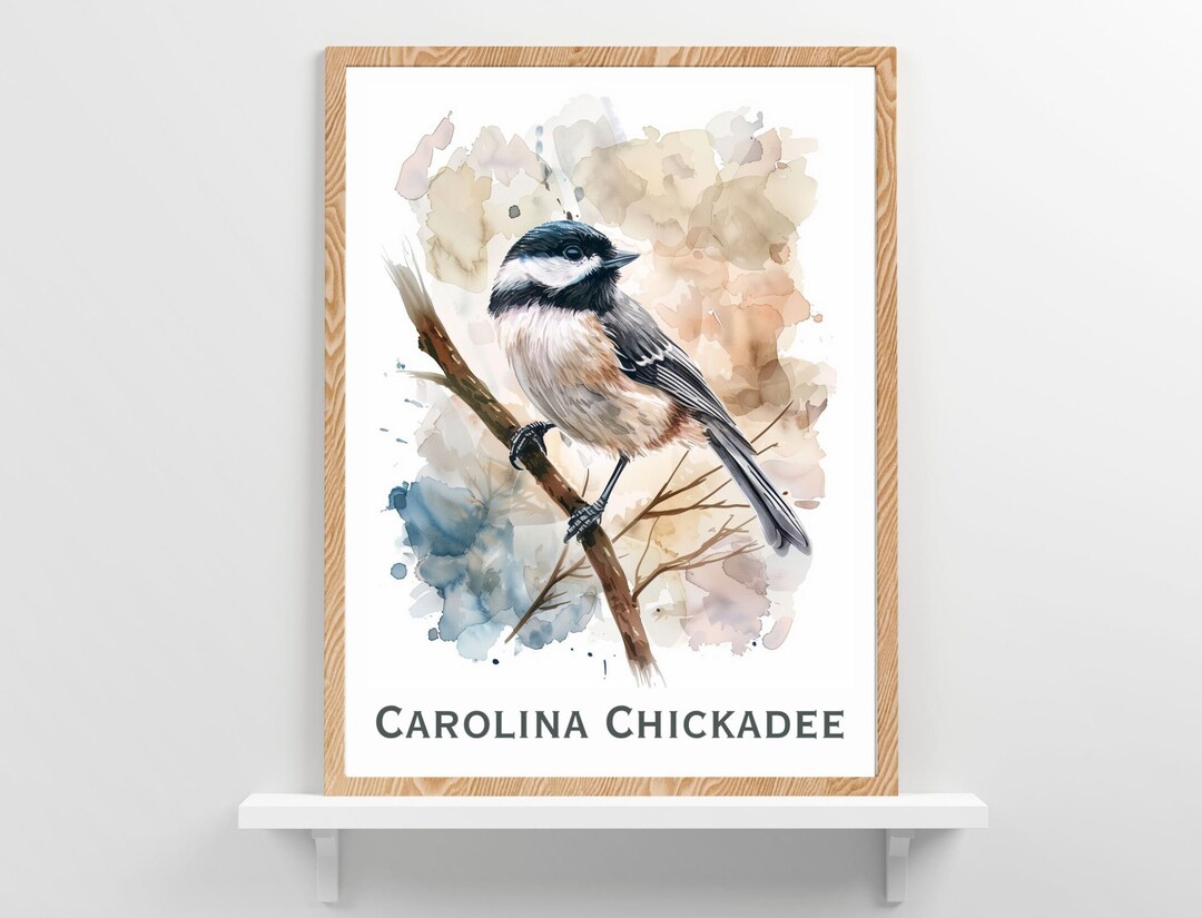 Carolina Chickadee Bird Poster Design Iconic Tropical Birds Wildlife ...