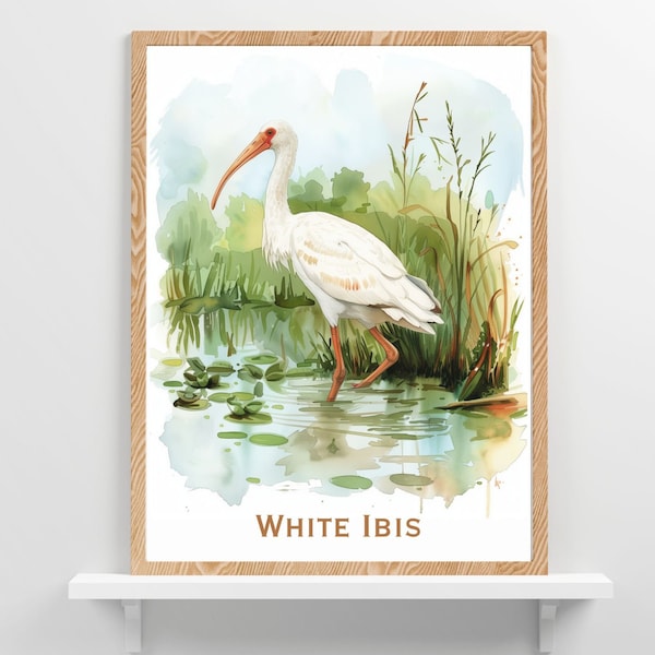 Florida Bird Art - Etsy