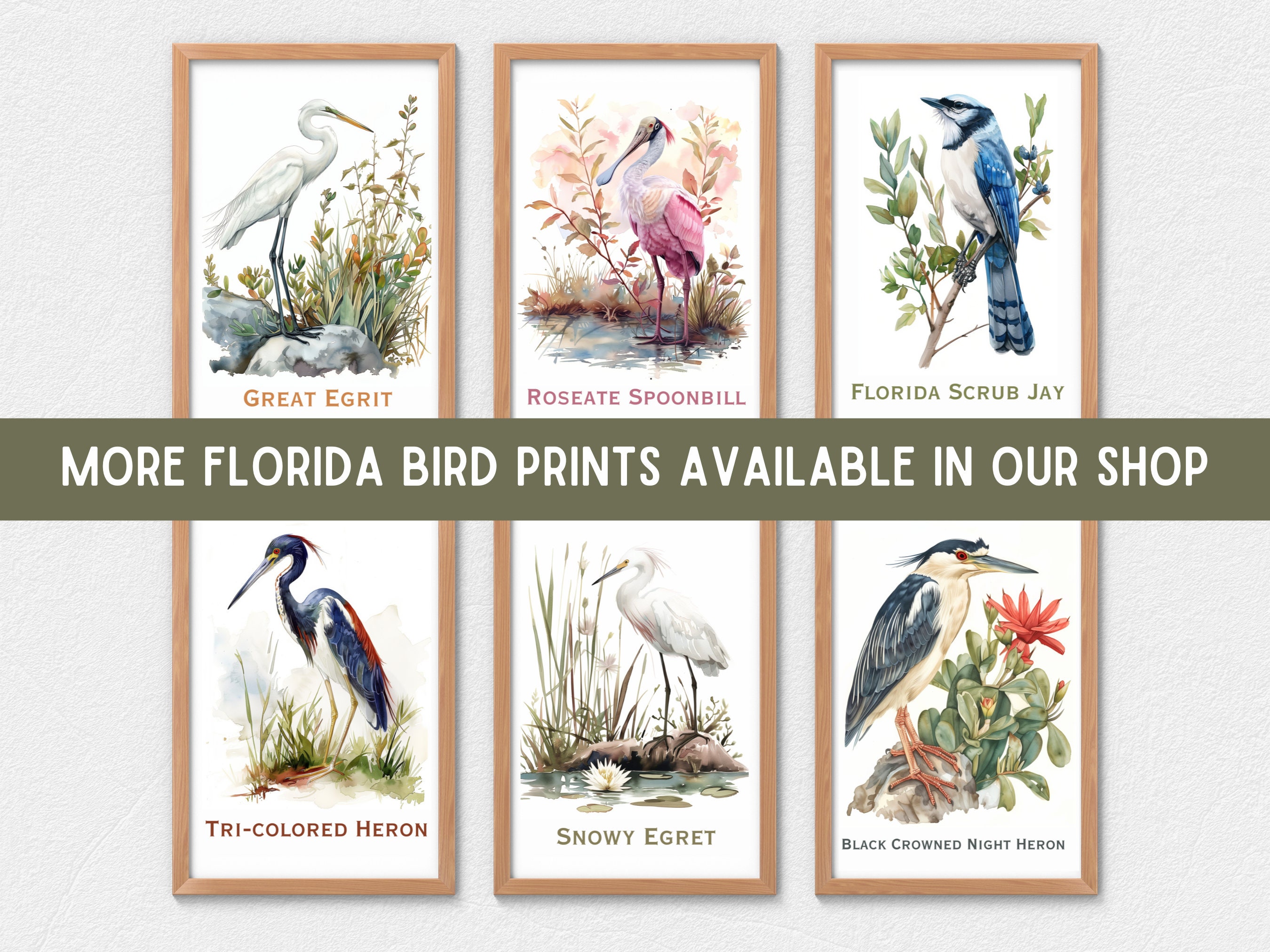 Eastern Phoebe Watercolor Bird Print Design Florida Birds Wildlife Wall ...
