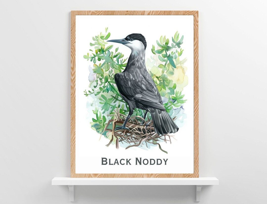 Black Noddy Florida Iconic Bird Poster Design Florida Birds Wildlife ...