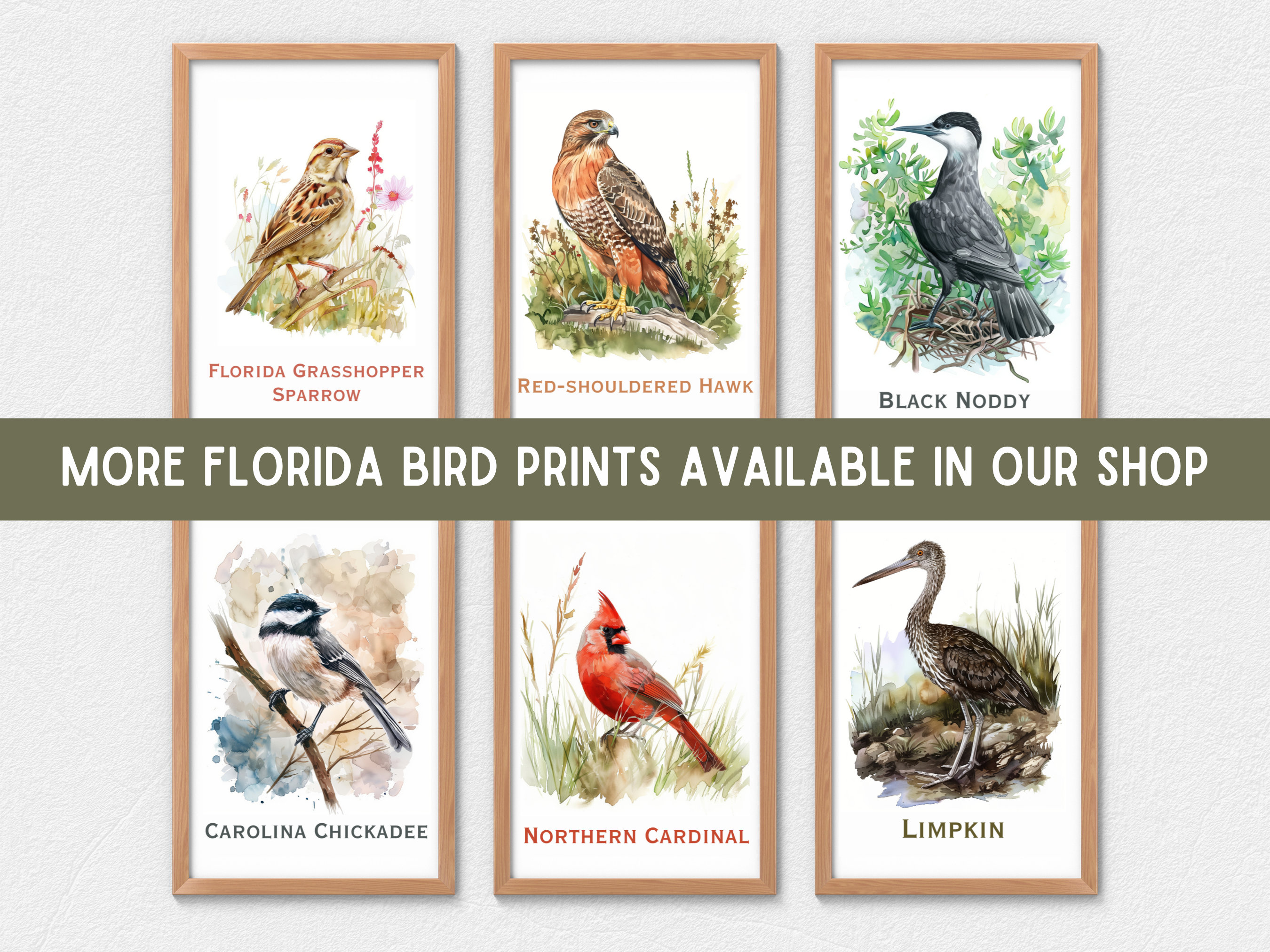 Eastern Phoebe Watercolor Bird Print Design Florida Birds Wildlife Wall ...