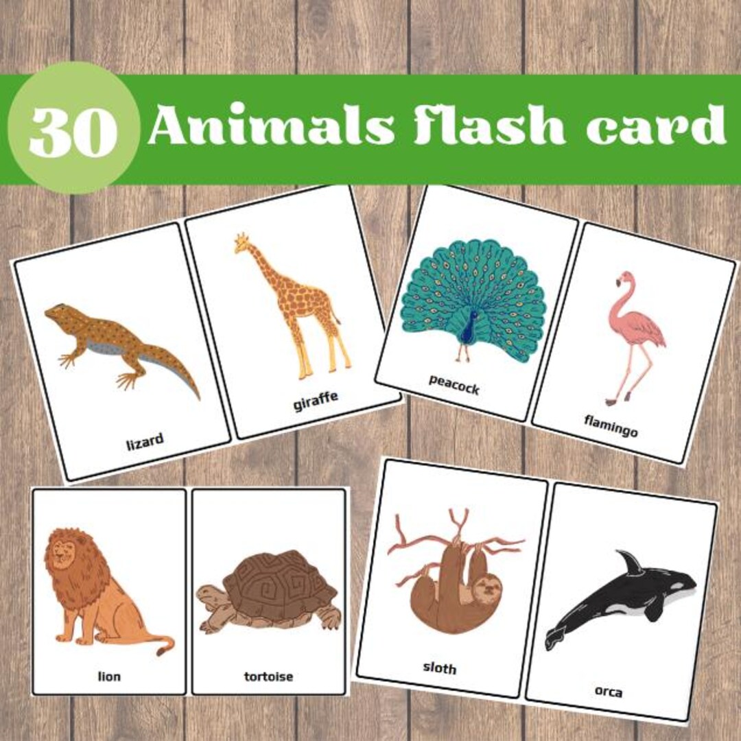 30 Digital Animal Flashcards for Kids | Educational Printable Learning ...