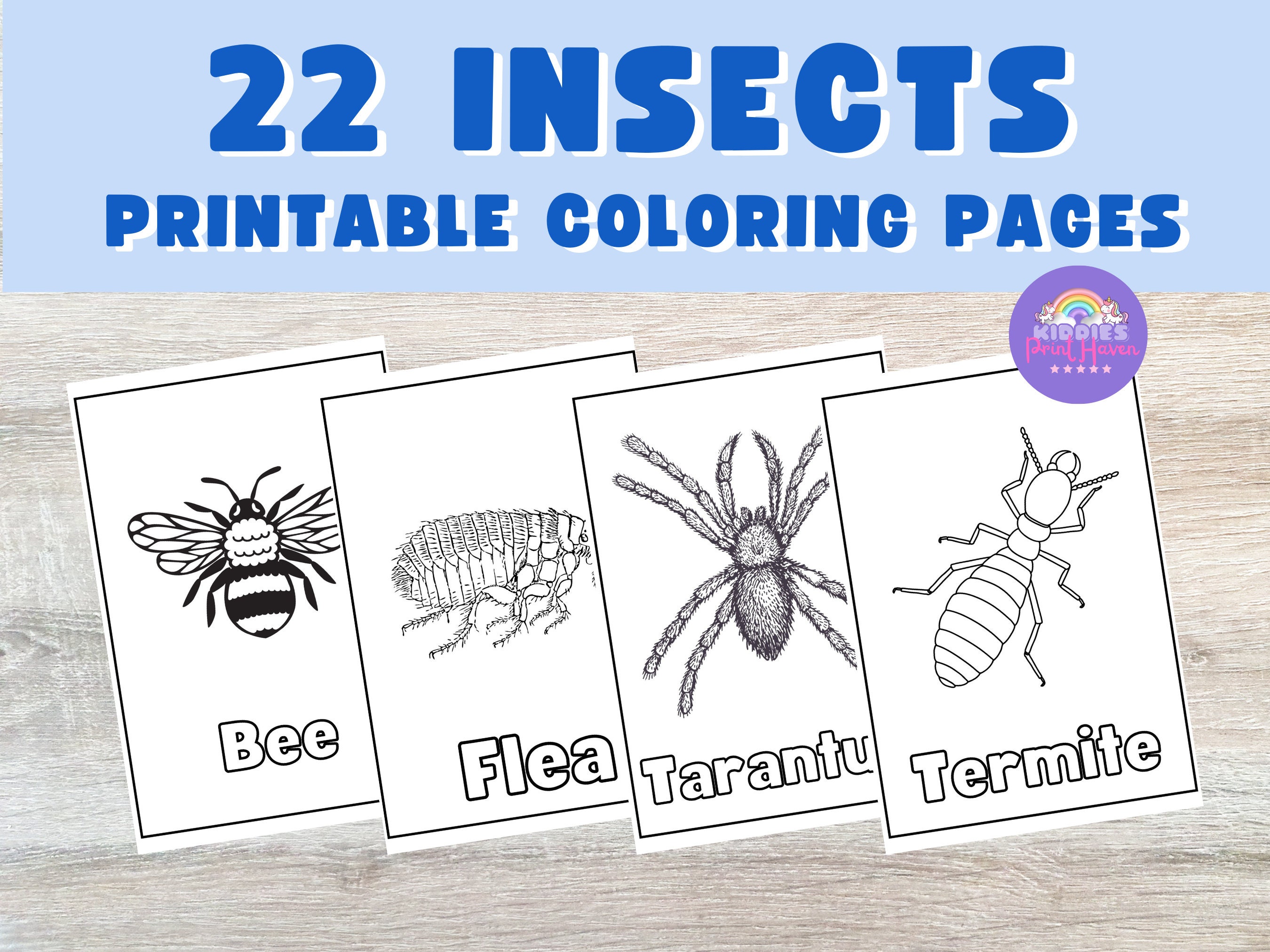22 Insects Printable Coloring Book, Toddlers Coloring Sheets, Kids ...