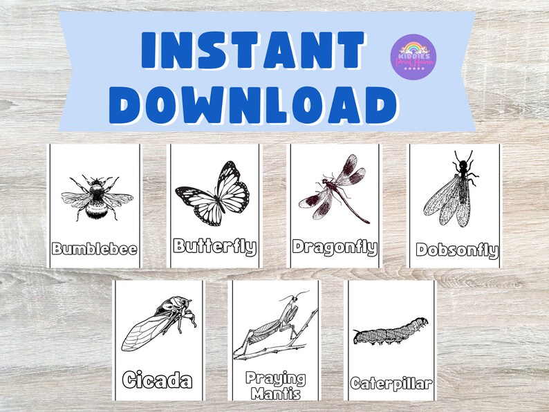 22 Insects Printable Coloring Book, Toddlers Coloring Sheets, Kids ...