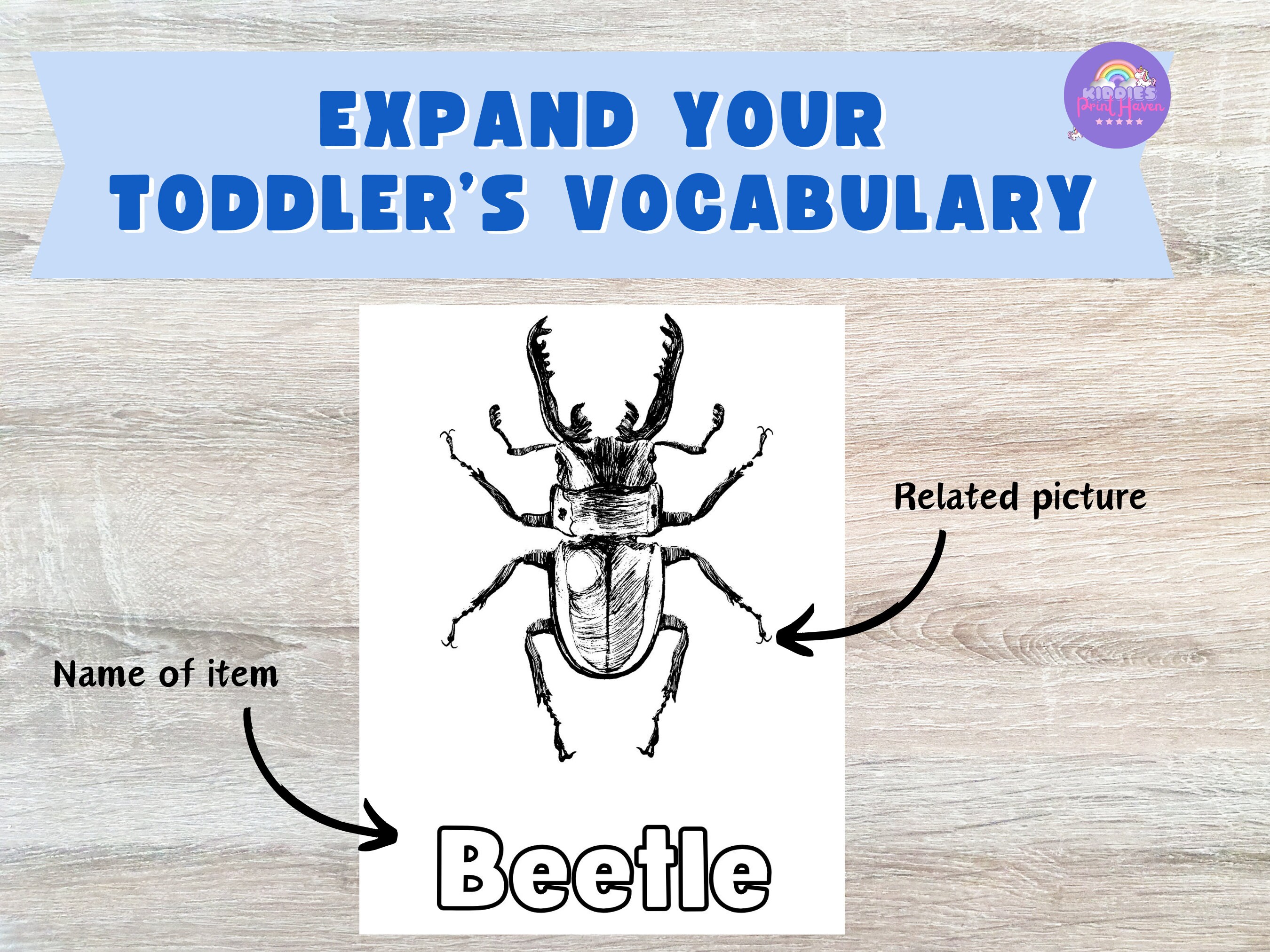 22 Insects Printable Coloring Book, Toddlers Coloring Sheets, Kids ...